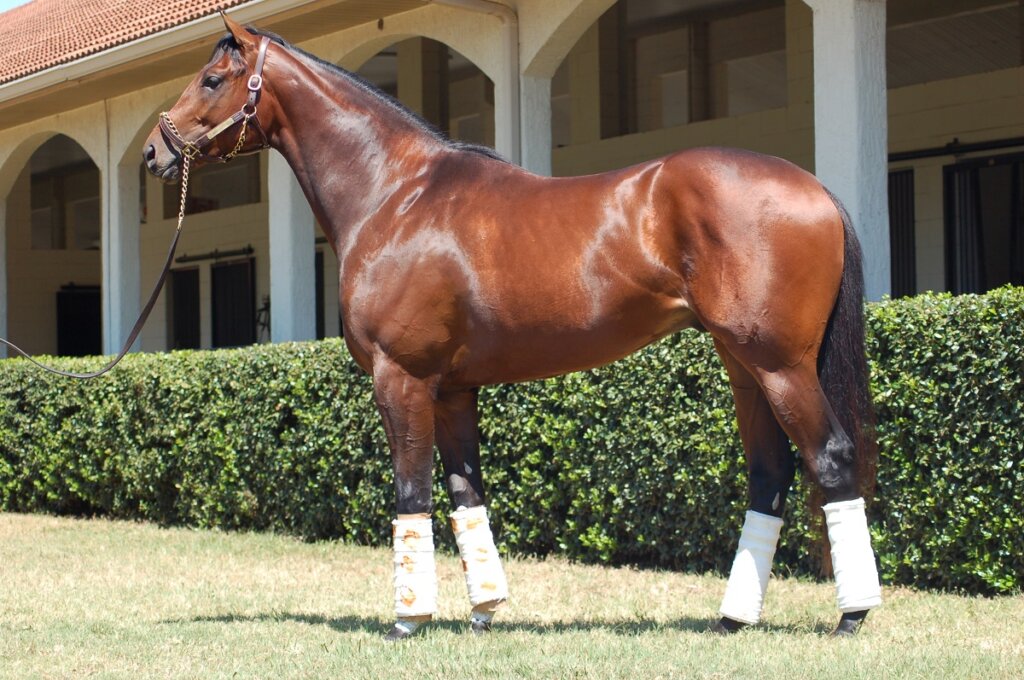 Tales from the Crib: Lone Sailor | News | Kentucky Derby